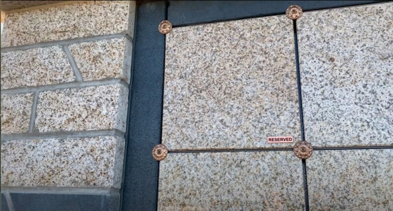 Niche Size: 10 Key Factors for Choosing Double vs Single Benefits